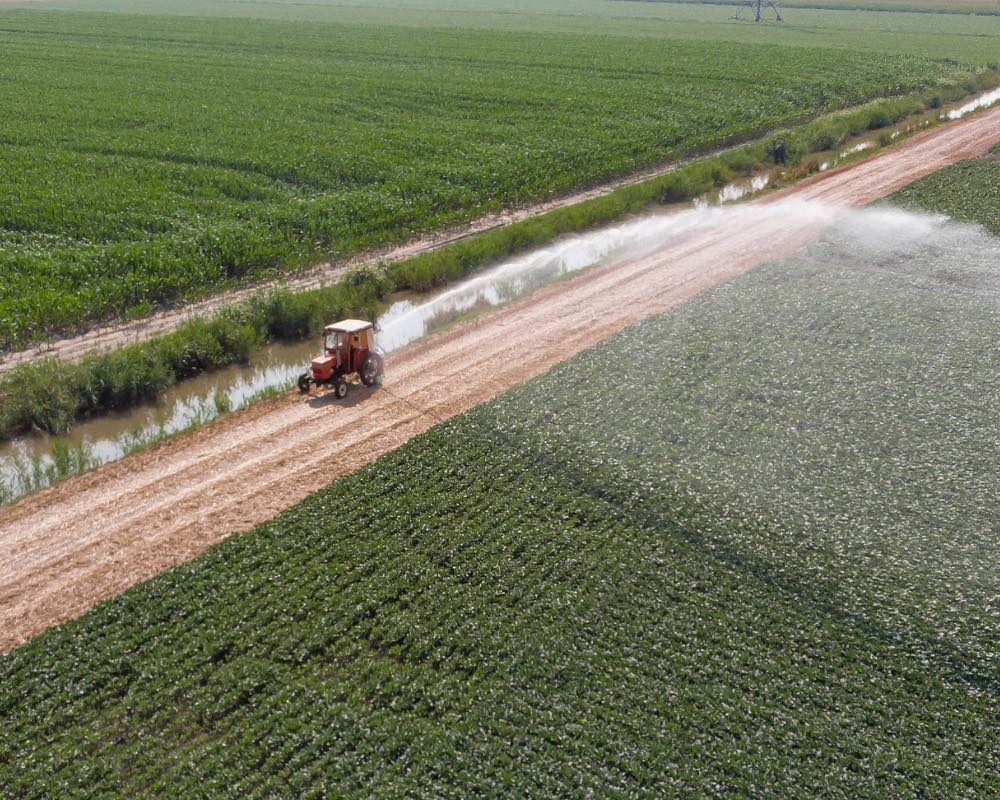 La agricultura intensiva: pan para hoy, hambre para mañana